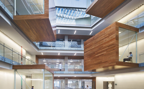 Allen Institute | Perkins+Will
