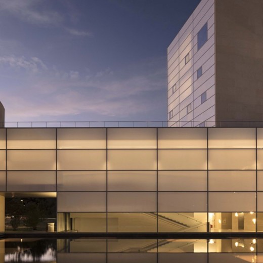 Lewis Arts complex | Steven Holl