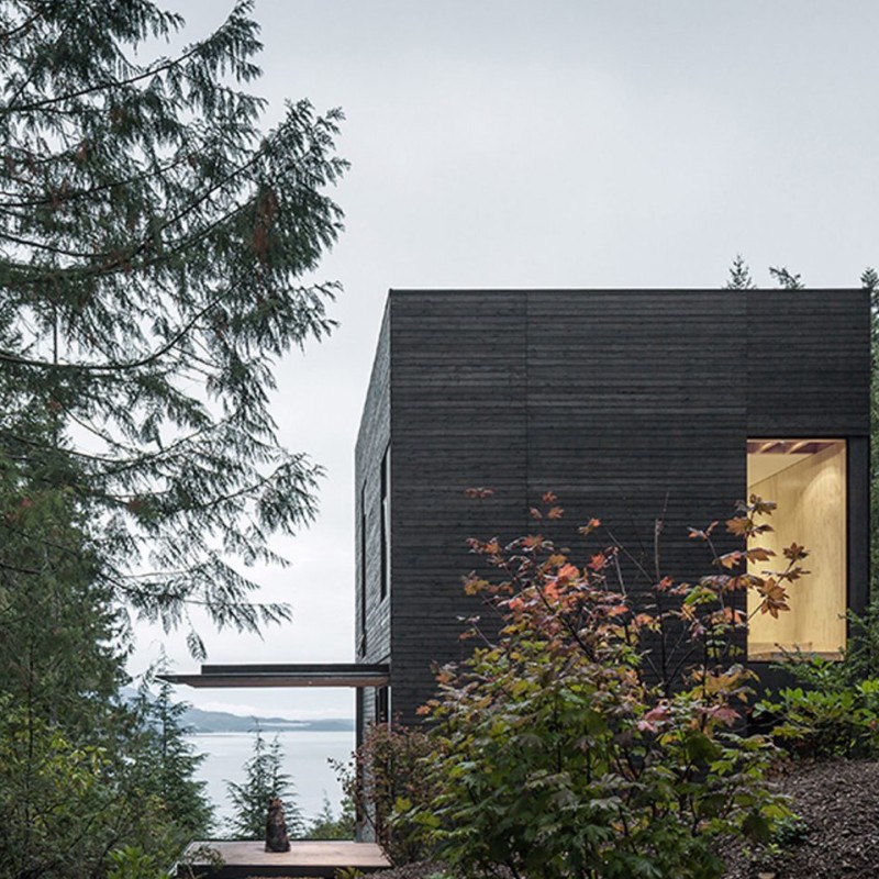 Cabin in a Washington forest | MW Works