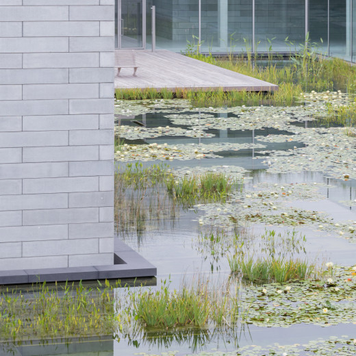 Glenstone Museum | Thomas Phifer