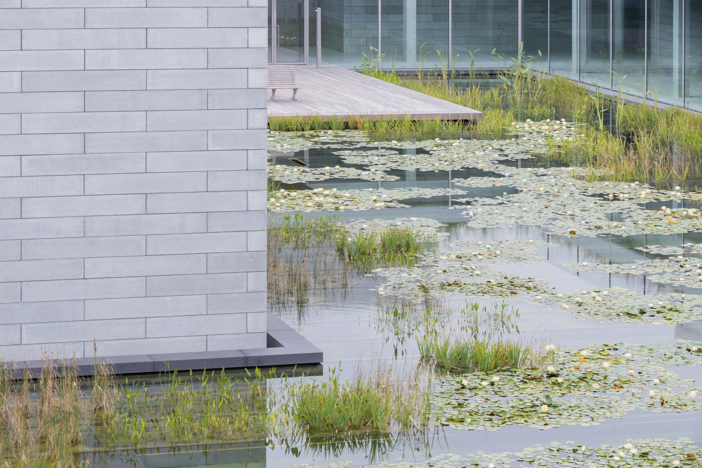 glenstone-museum-thomas-phifer-architecture-maryland-usa_dezeen_2364 ...
